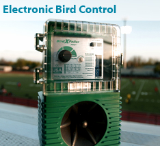 Bird-X - Bird-X -- Bird Control Products